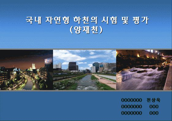 자연형 하천 공법의 개발 및 적용