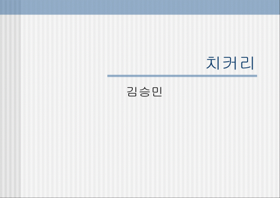 치커리-종류 용도 작용