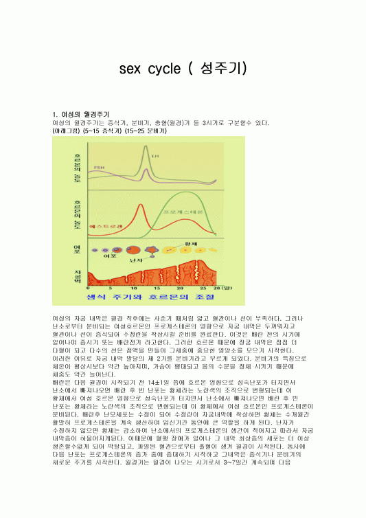 sex cycle 레포트 자료
