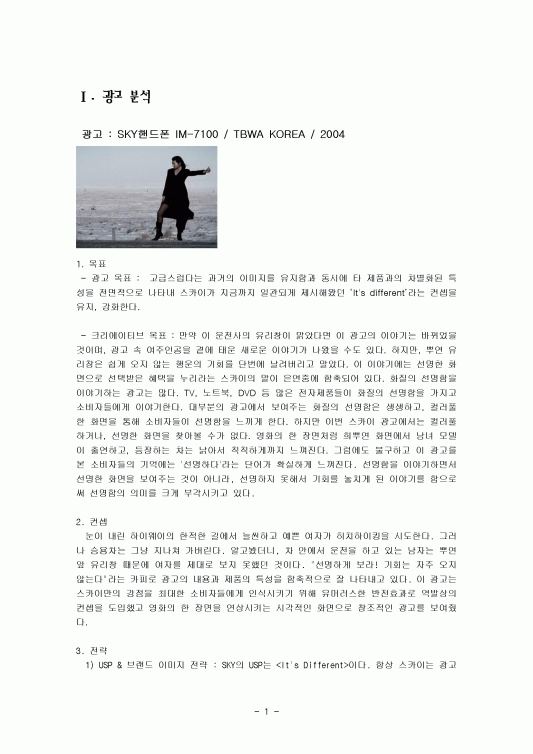 내가 생각하는 Big idea  광고 분석