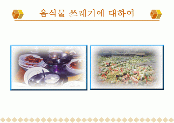 음식물 쓰레기에 관한 보고서