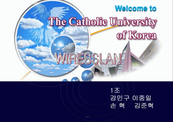 무선랜 (wireless Lan)