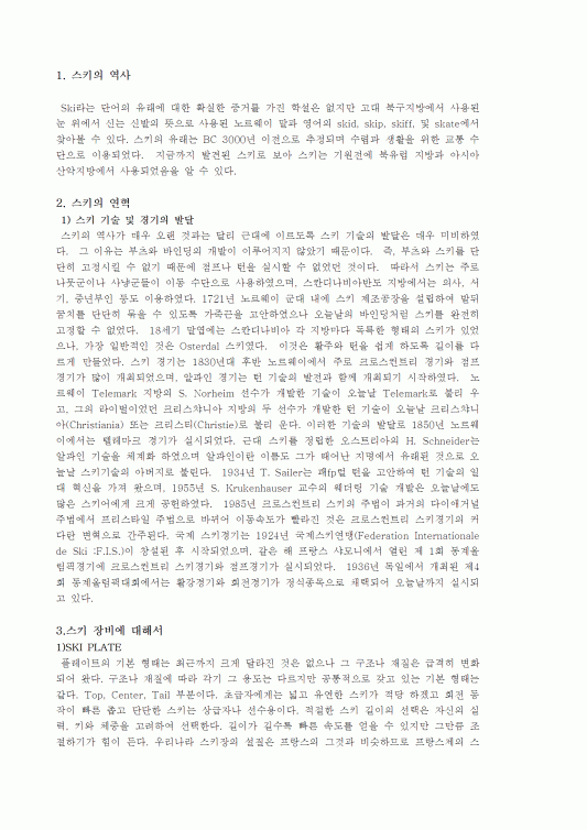 [예체능] 스키에 대해