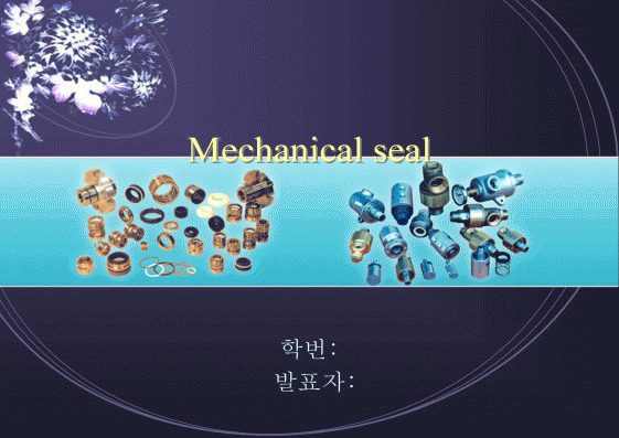 Mechanical seal 레포트 자료