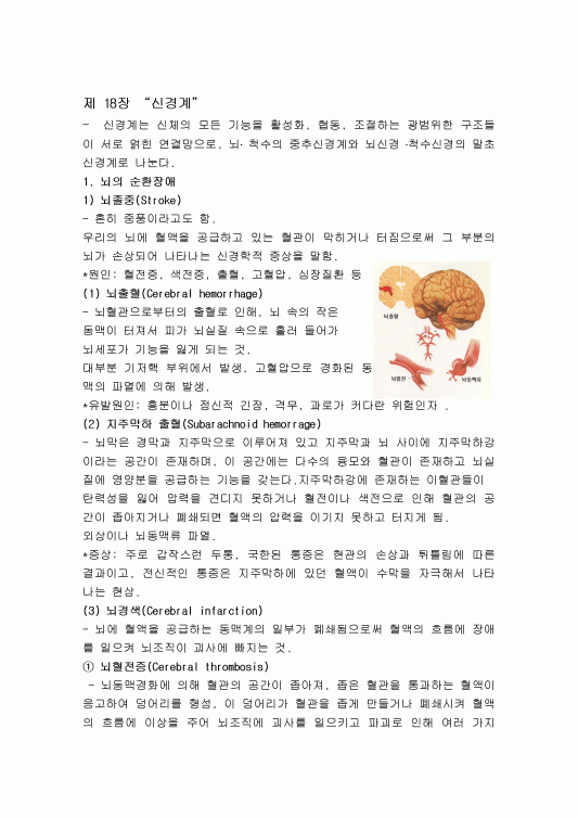 신경계(nervous system nerve 神經系) 요약 정리