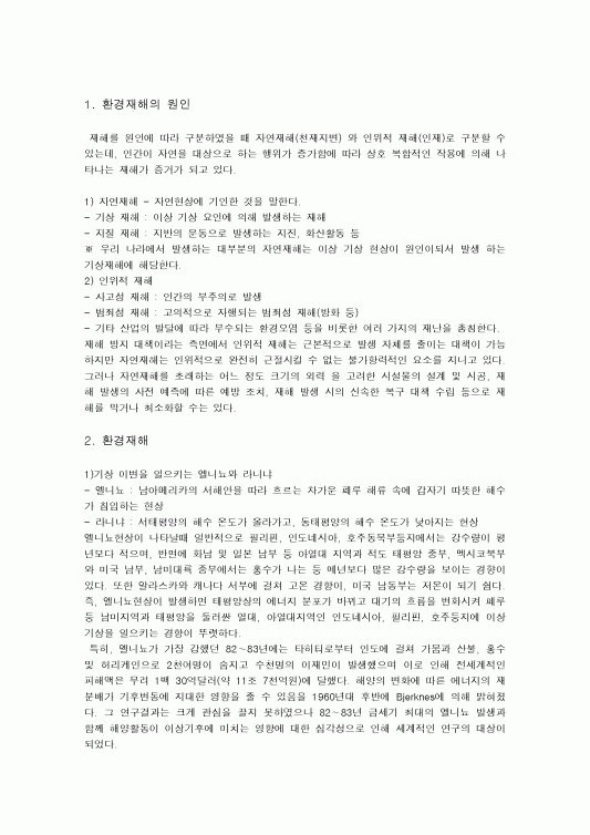 환경재해 레포트 자료