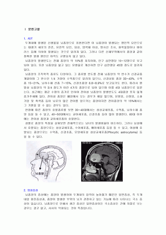 뇌종양 케이스(간호과정)