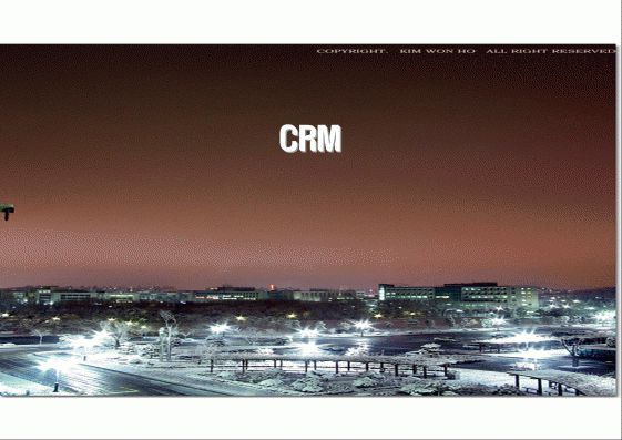 [경영정보시스템]고객관계관리(CRM)에 관하여