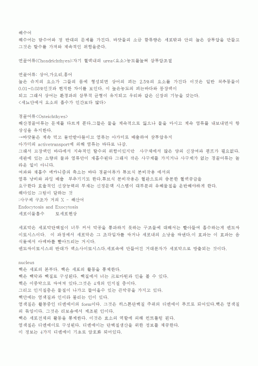 해수어 해석 레포트 자료