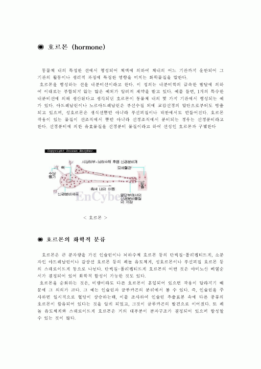 호르몬(hormone)에 대하여