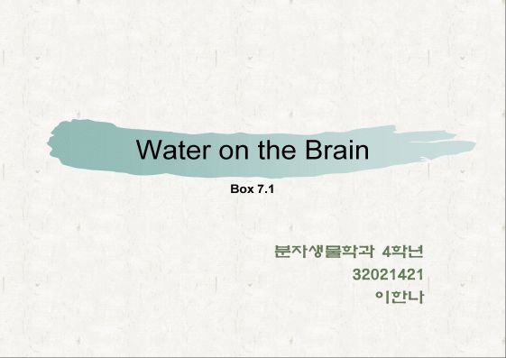 뇌수종 hydrocephalus