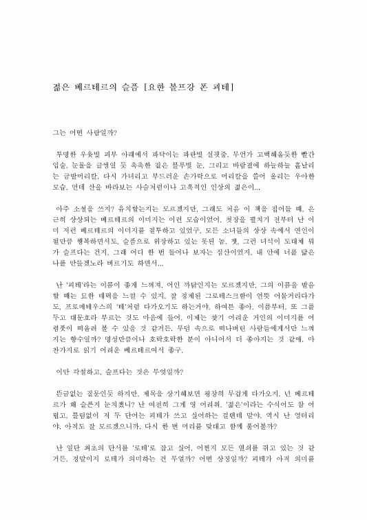 감상문-젊은 베르테르의 슬픔 [요한 볼프강 폰 괴테]