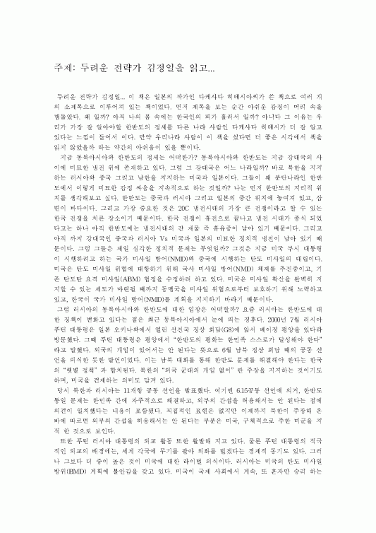 두려운 전략과 김정일