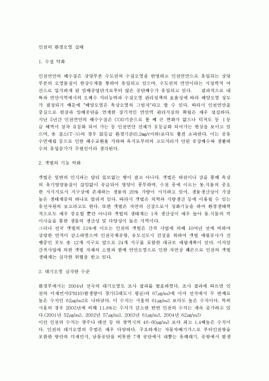 인천의 환경문제 대책과 과제
