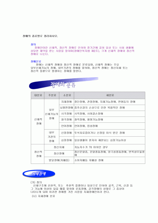 장애분류 레포트 자료