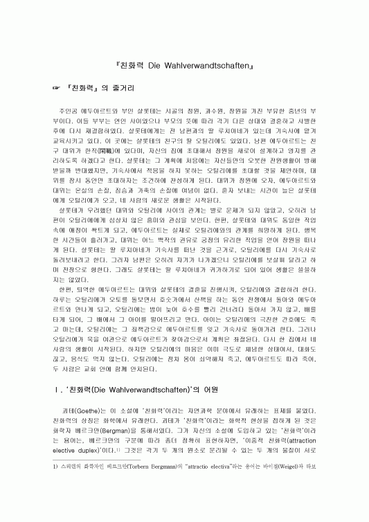 괴테의 소설 친화력 연구