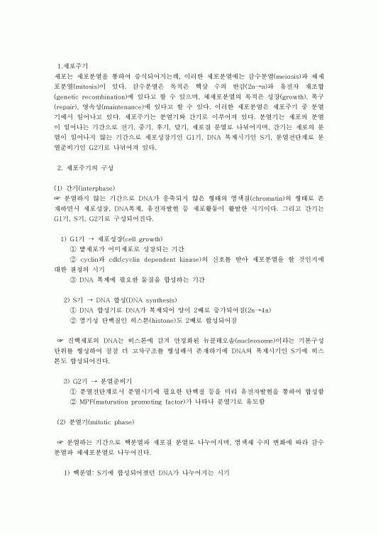 [자연과학] 세포주기