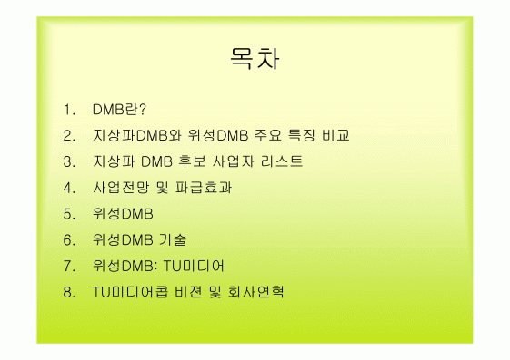 TU미디어와 DMB산업