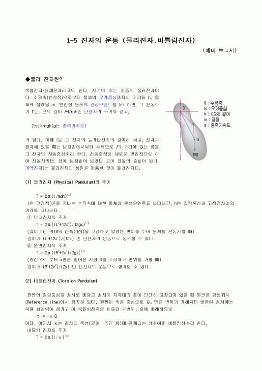 진자의 운동 (물리진자.비틀림진자)