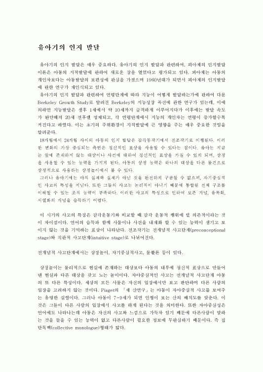 유아기의 인지 발달