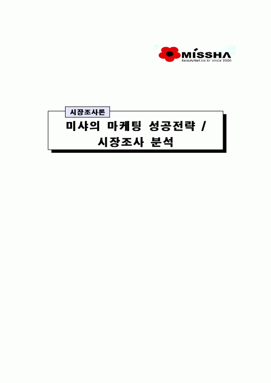 미샤의 마케팅 성공전략  (시장조사 분석)