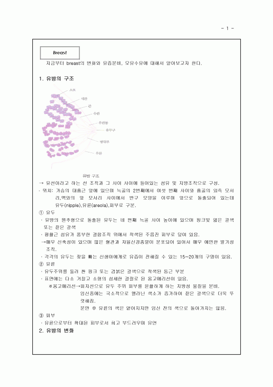 유즙분비 레포트 자료