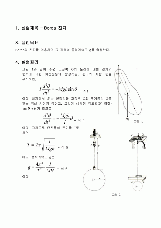 Borda 진자 레포트 자료