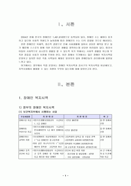 정부의 장애인 복지 시책 분석과 지방자치단체에서의 복지 사업 분석 및 우리의 견해