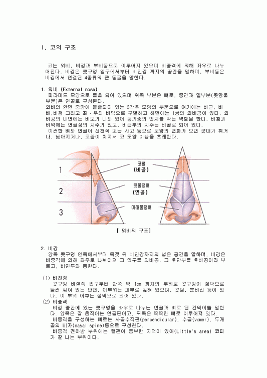 코기 기능 구조 질병 수술