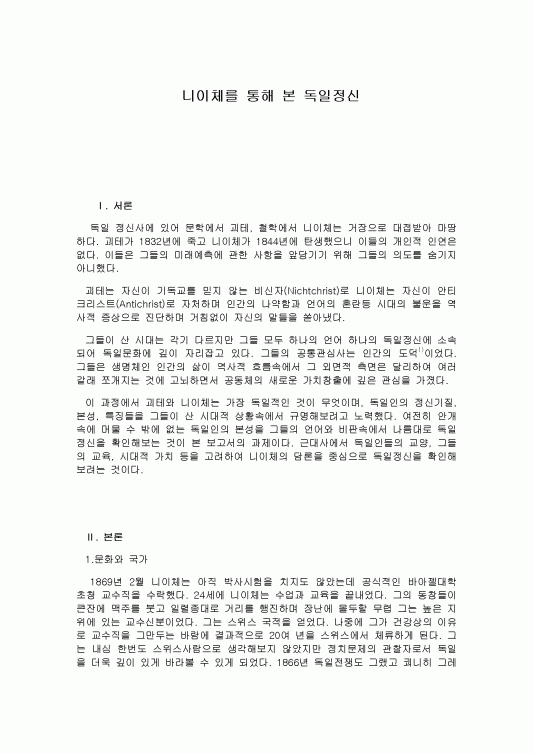 니체를 통해 본 독일 정신