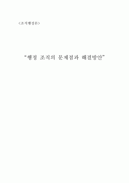 행정조직 문제점 개선 방안
