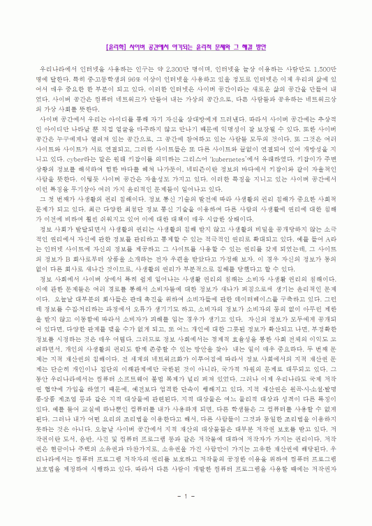[윤리학] 사이버 공간에서 야기되는 윤리적 문제와 그 해결 방안