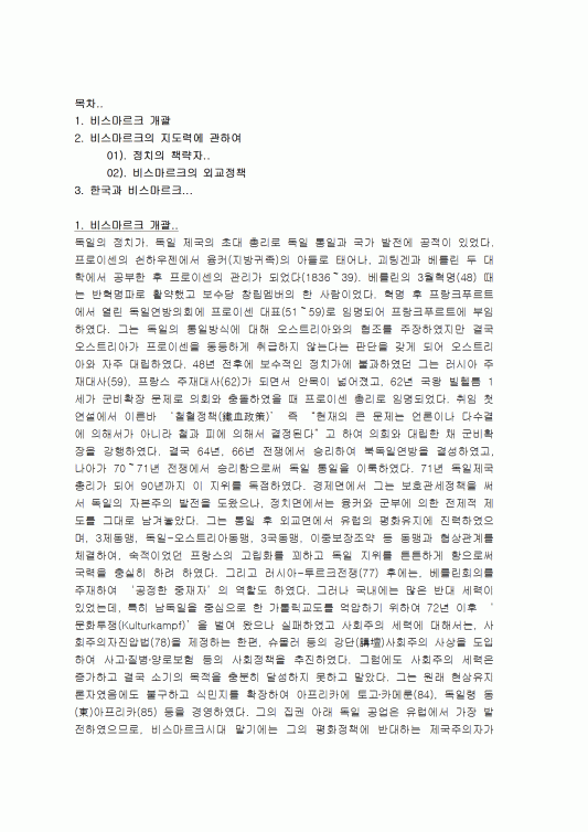 비스마르크-국제정치경제