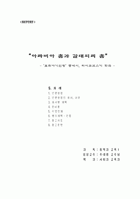 음악지도안 레포트 자료