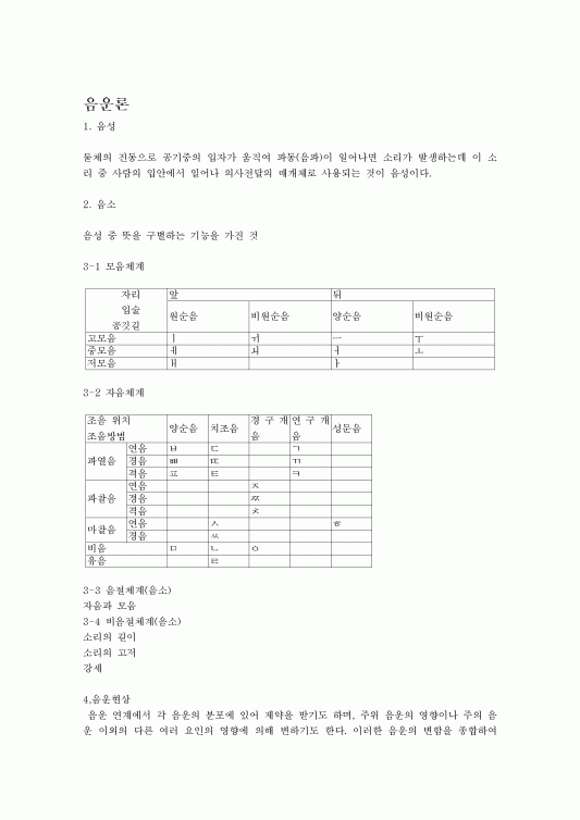 국어 문법, 음성학 , 통사론 요약정리