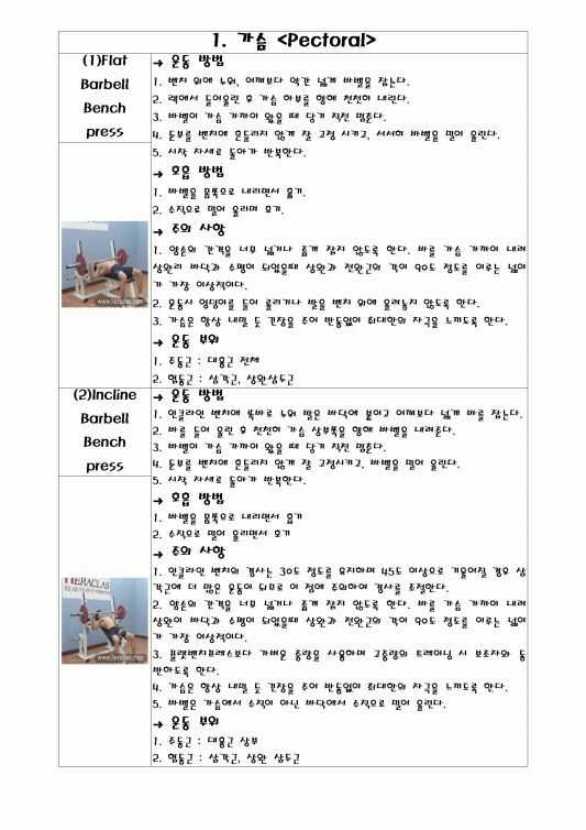 웨이트 트레이닝 실시 순서