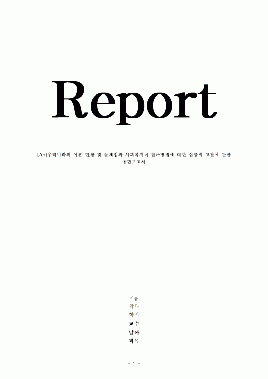 우리나라의 이혼 현황 및 문제점과 사회복지적 접근방법에 대한 심층적 고찰에 관한 종합보고서