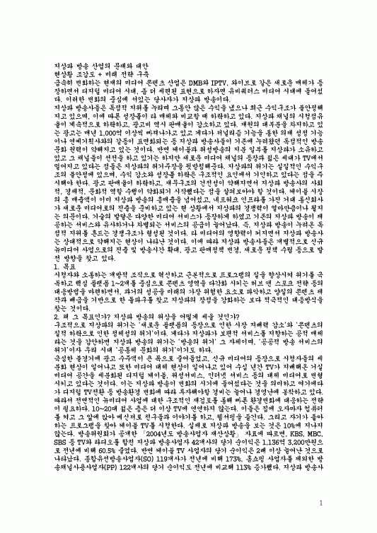 지상파 방송 산업의 문제와 대안