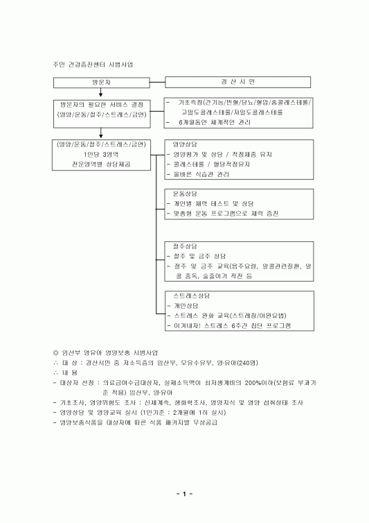보건소 특수사업