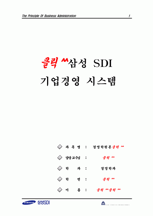 삼성 SDI 기업경영 시스템 연구 보고서