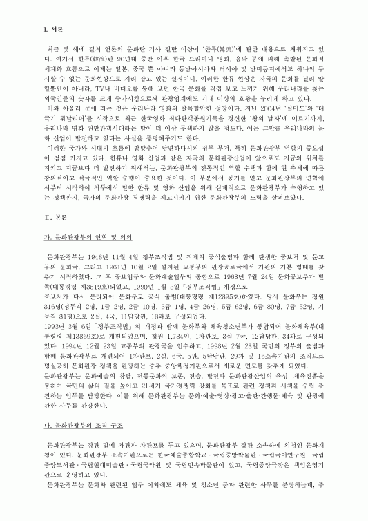 문화관광부의 조직 및 의의, 역할 수행