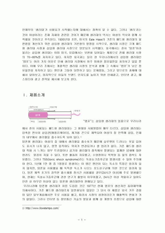 (마케팅)여성 생리대 템포의 기업분석 및 마케팅 전략