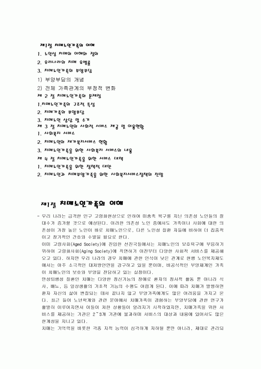 재가복지서비스의 현황과 대책