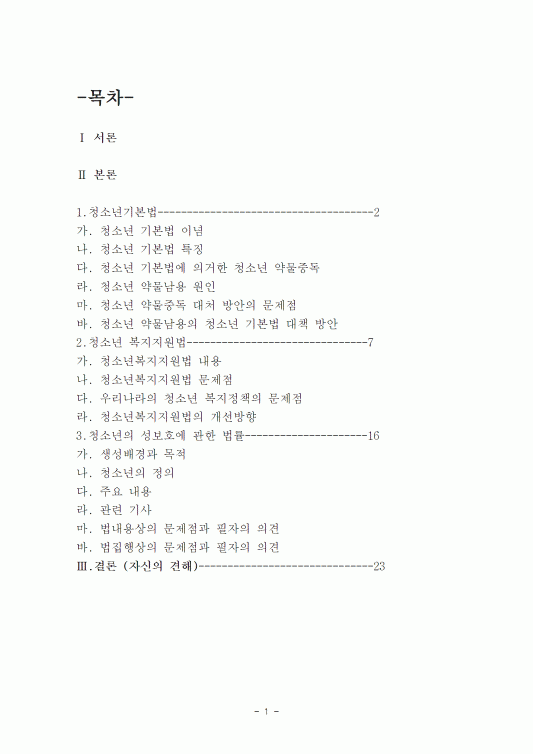 청소년 복지정책의 문제점과 개선방향