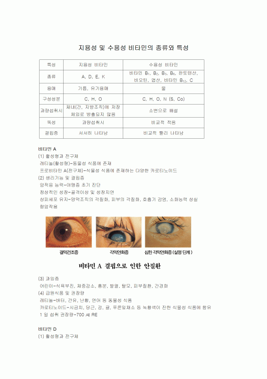 비타민의 종류와 특성