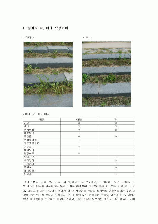 청계천 식생조사