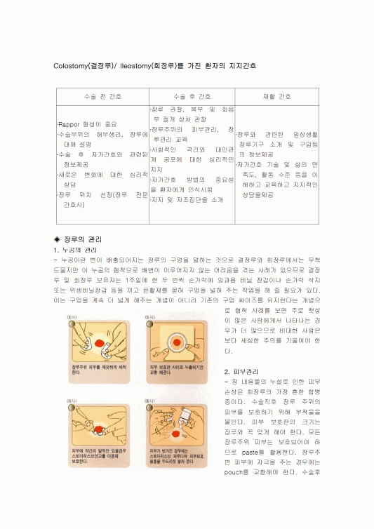 Colostomy(결장루)/ Ileostomy(회장루)를 가진 환자의 지지간호