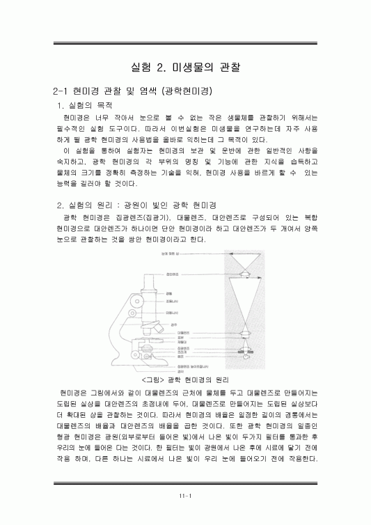 [미생물학 실험]미생물의 현미경 관찰 - 단순, 그람, 매질 염색법에 의한 현미경 관찰 -