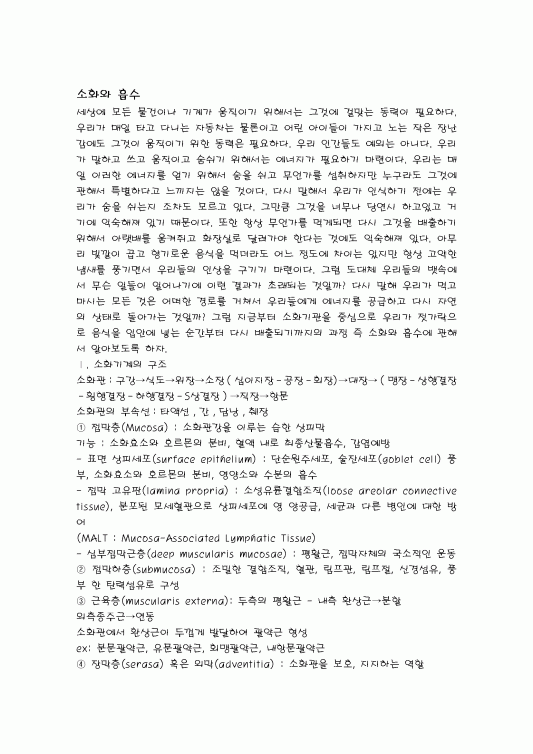 [논문] 소화와 흡수