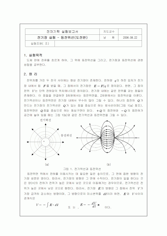 등전위선 실험 전기장